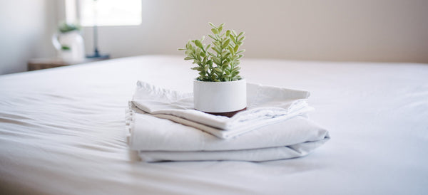 Why You Need a Fiberglass-Free Mattress – Bear Mattress