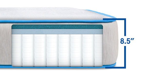 Have Your Kids Jumping Into Bed with the Bear Cub Kids Mattress – Bear ...